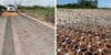 Tensar NX850™ Geogrid - Cherokee Manufacturing